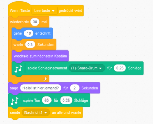 Einstieg in Scratch – Geographie & Informatik